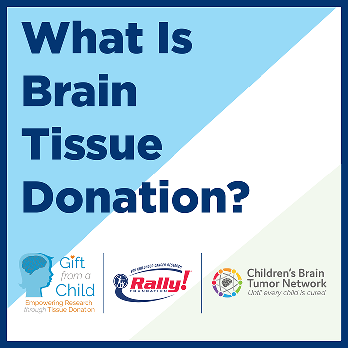 What is Brain Tissue Donation? - Rally Foundation